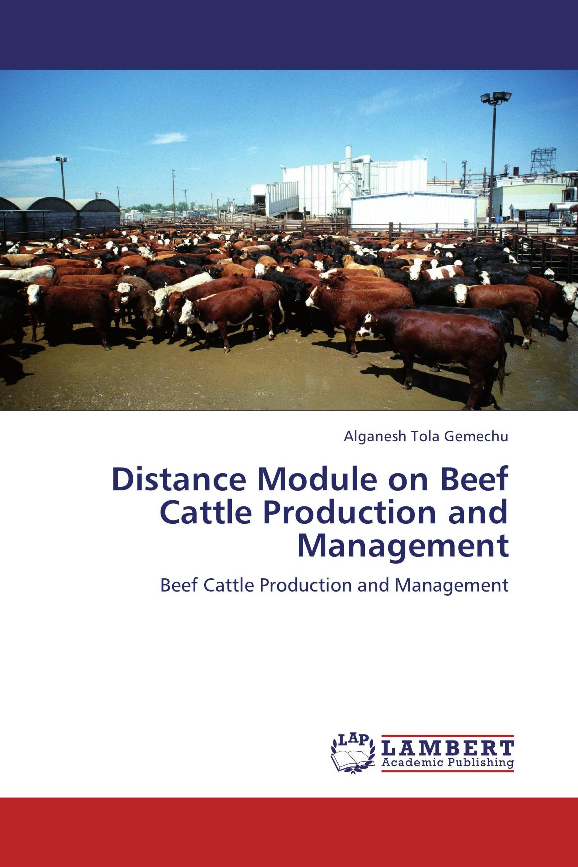 Name The Three Main Types Of Beef Cattle Production Systems - Design Talk