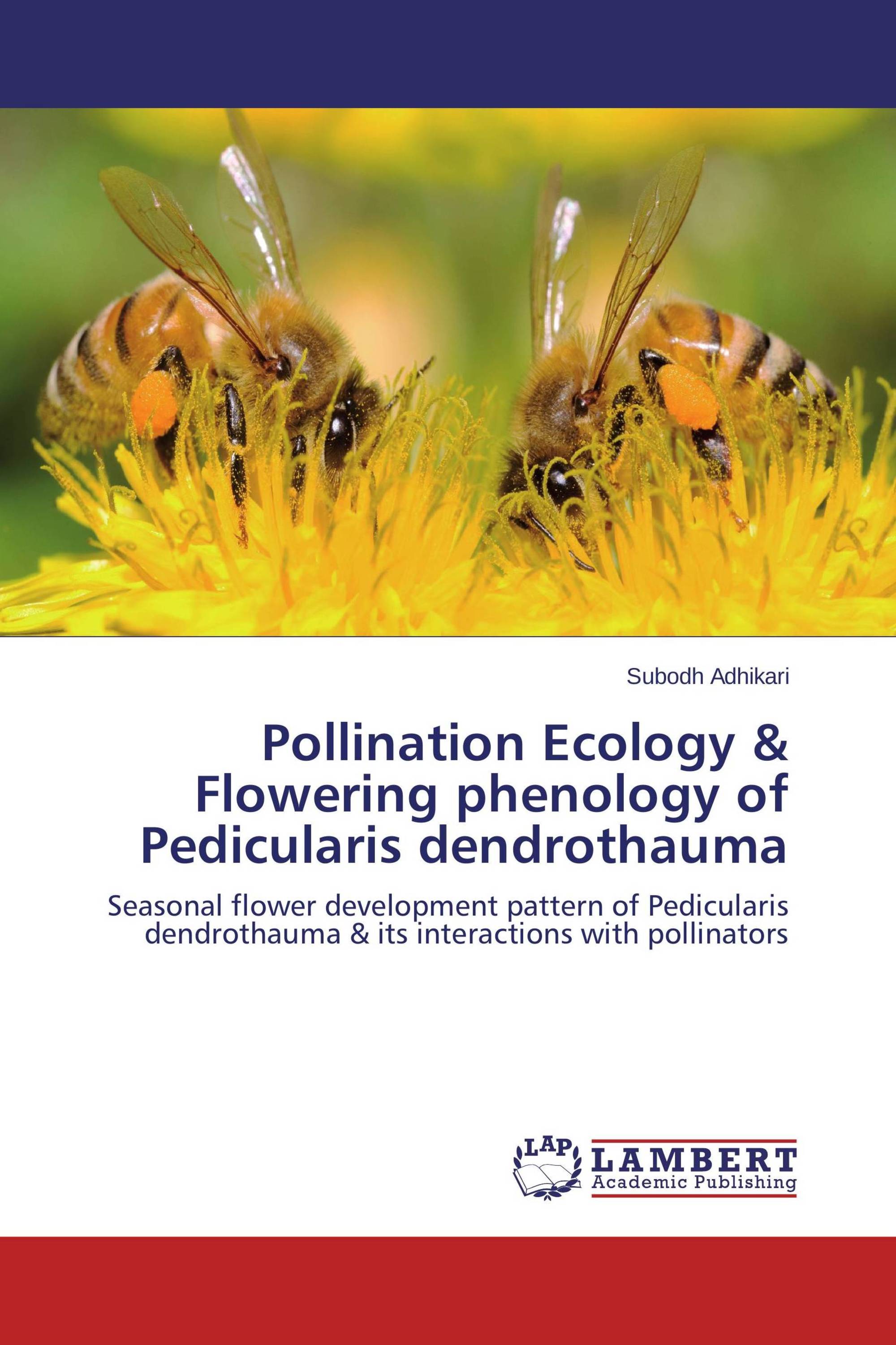 Pollination Ecology & Flowering phenology of Pedicularis dendrothauma ...