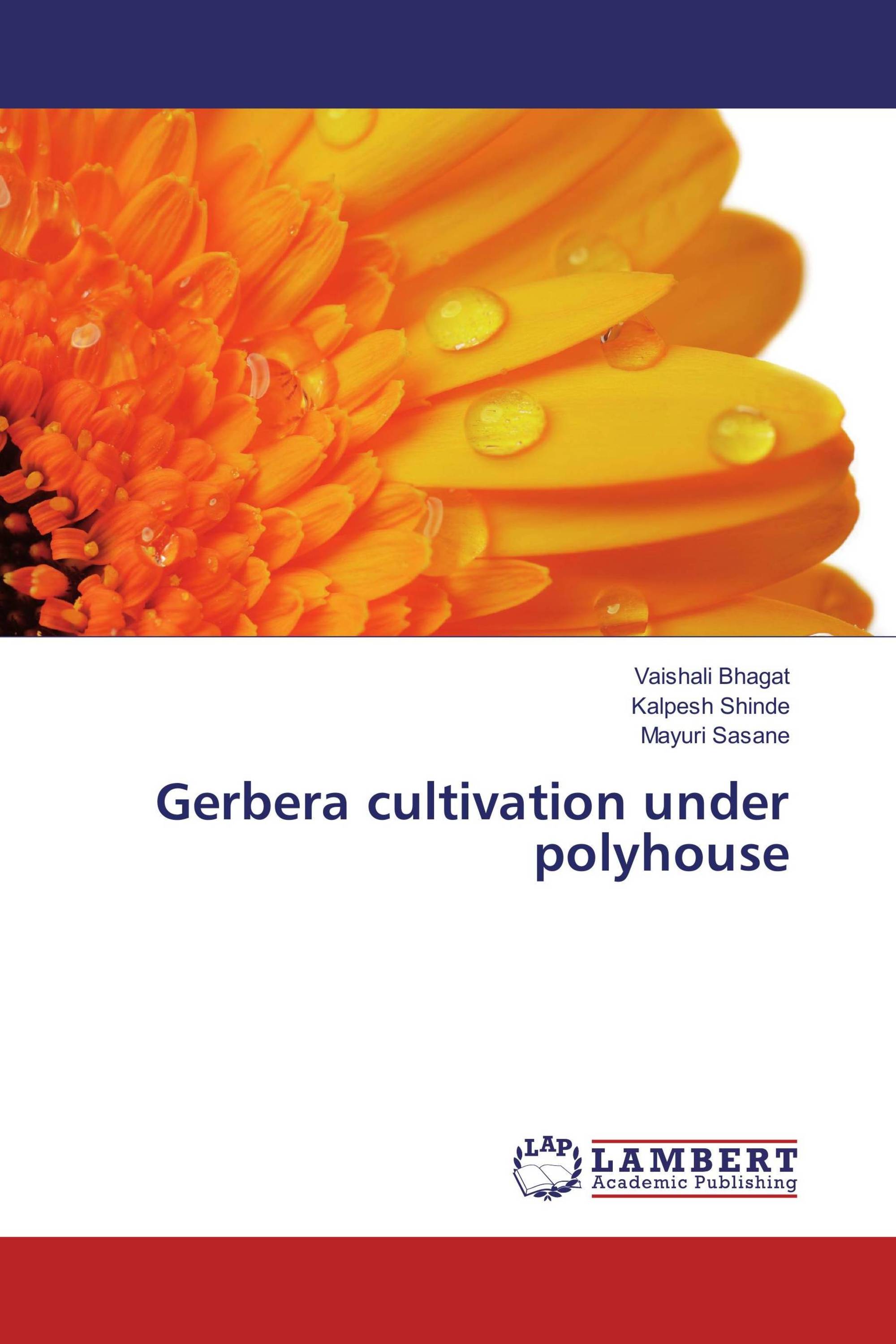 Gerbera Flower Cultivation In Polyhouse | Best Flower Site