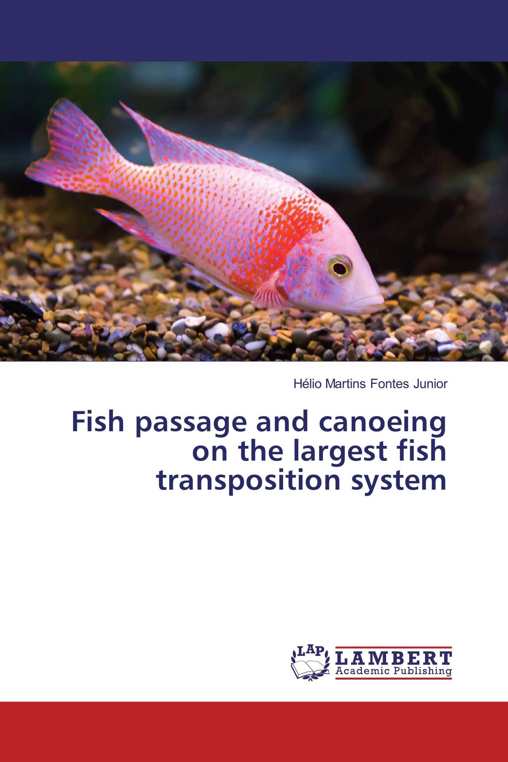 Fish passage and canoeing on the largest fish transposition system ...