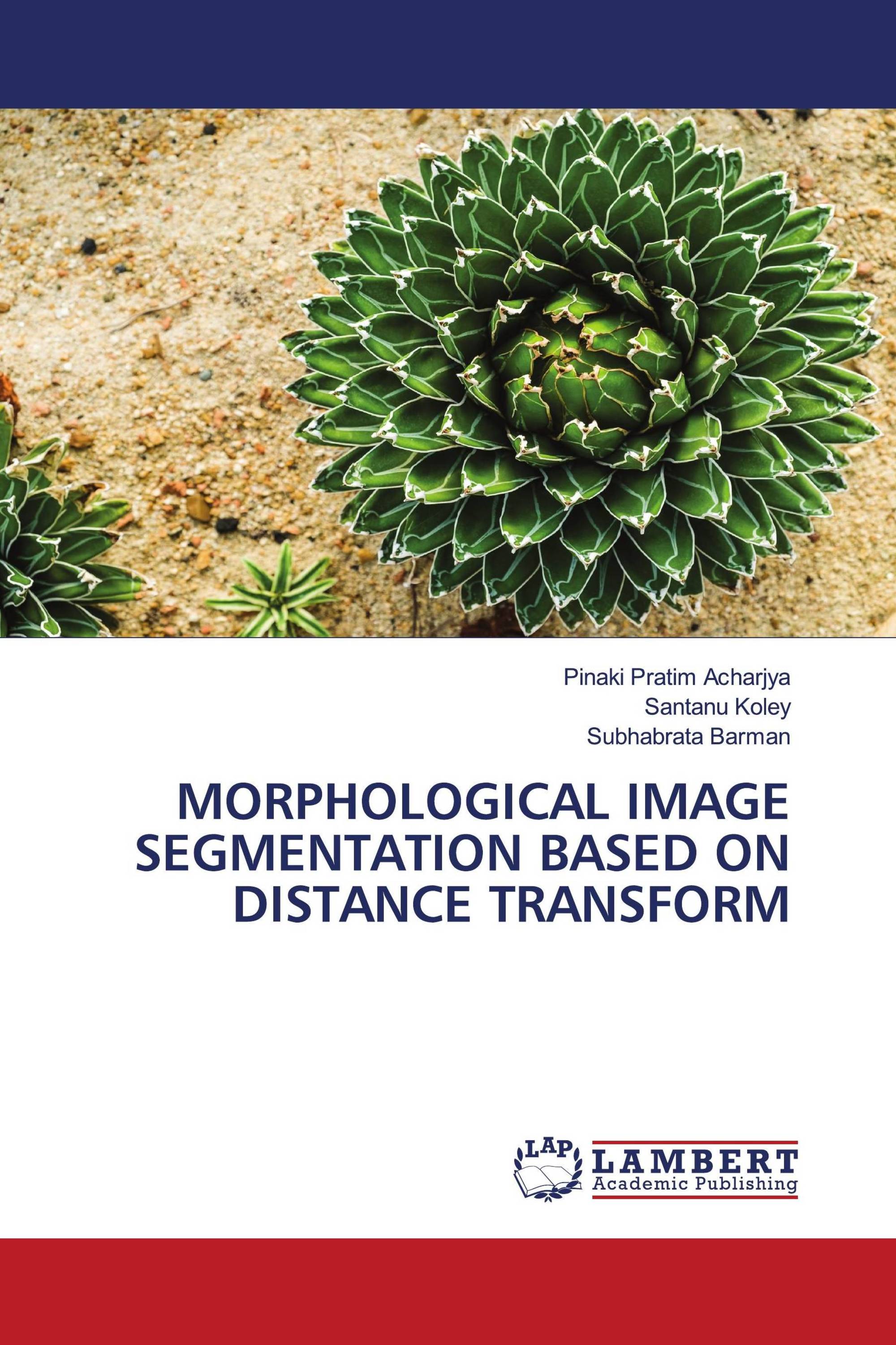 MORPHOLOGICAL IMAGE SEGMENTATION BASED ON DISTANCE TRANSFORM / 978-620 ... MORPHOLOGICAL IMAGE SEGMENTATION BASED ON DISTANCE TRANSFORM / 978-620 ...
