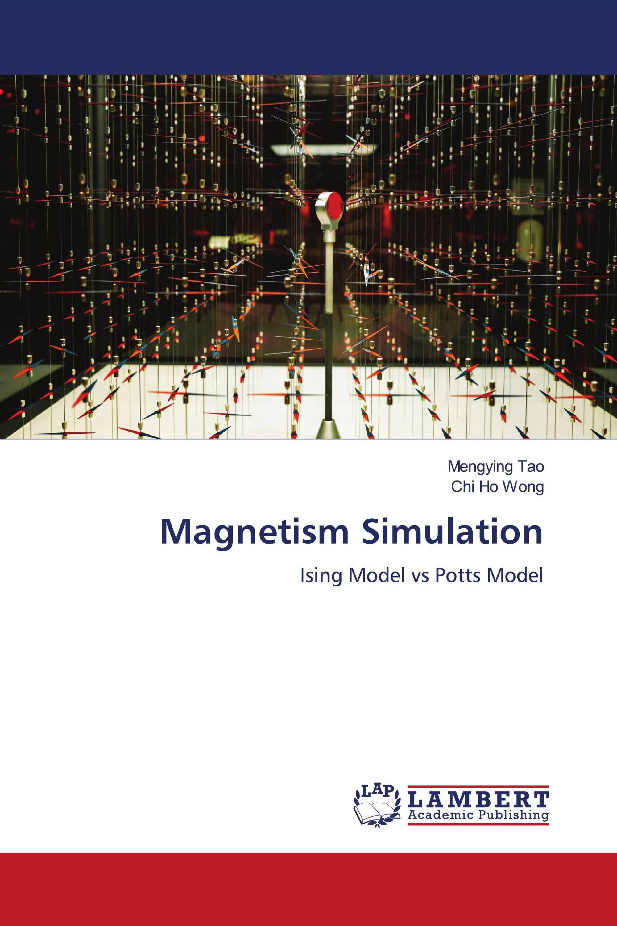 Magnetism Simulation / 978-620-6-84324-5 / 9786206843245 / 6206843246