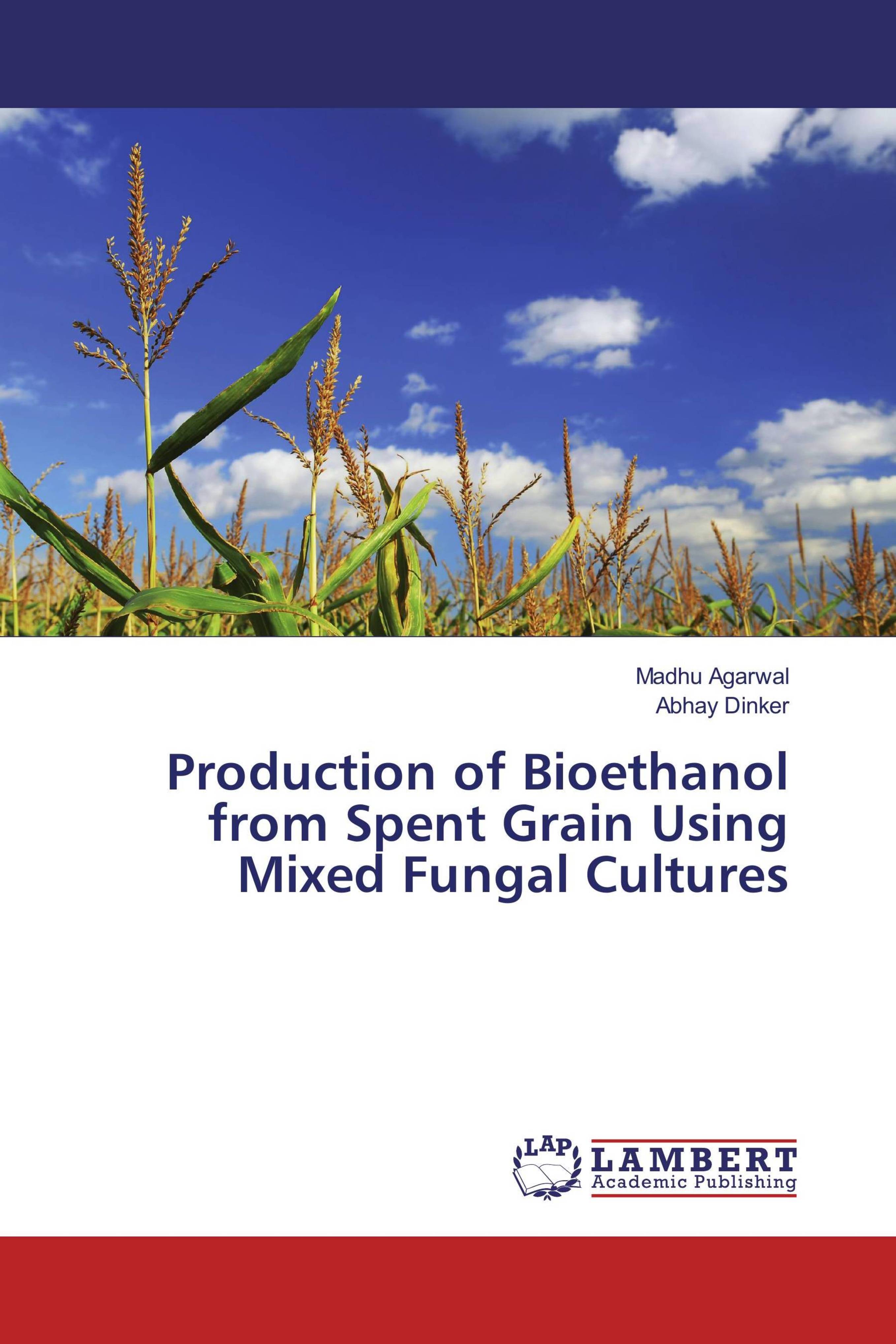 Buy Production of Bioethanol from Spent Grain Using Mixed Fungal ...