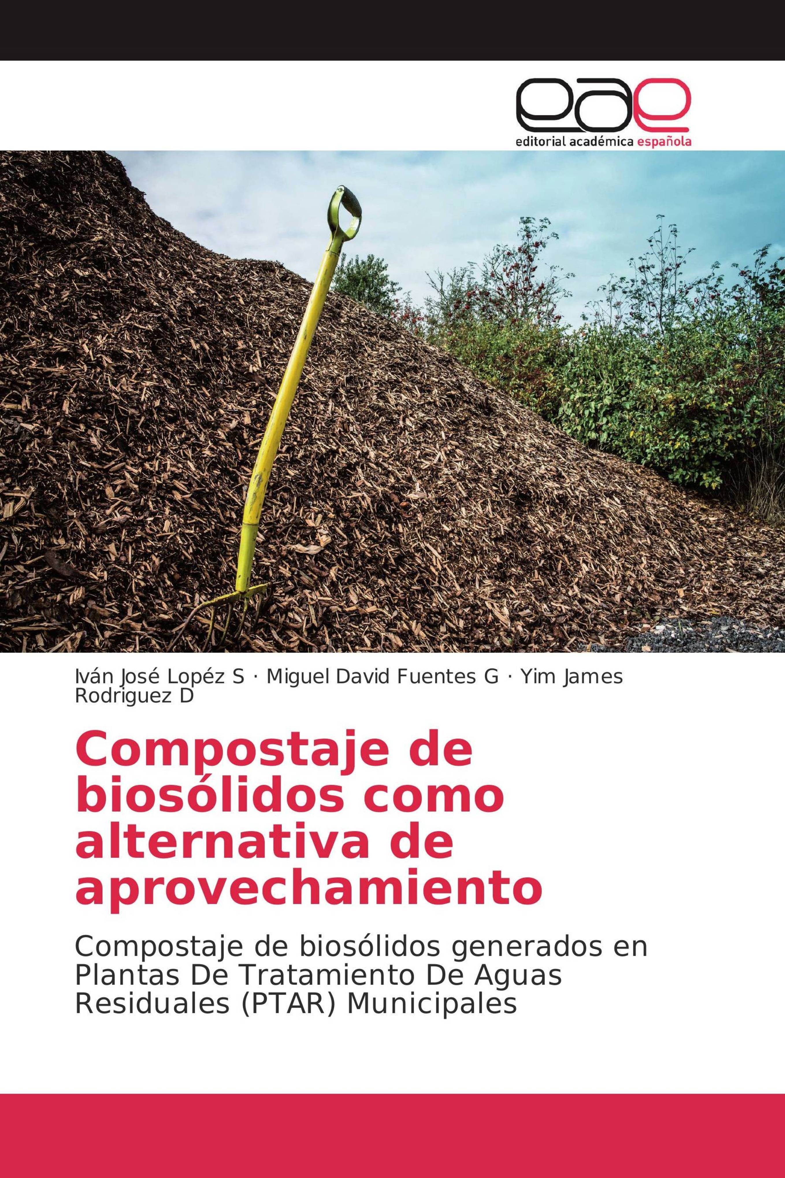 9783639535440 Biosolids Composting as a Harnessing Alternative - Iv ...