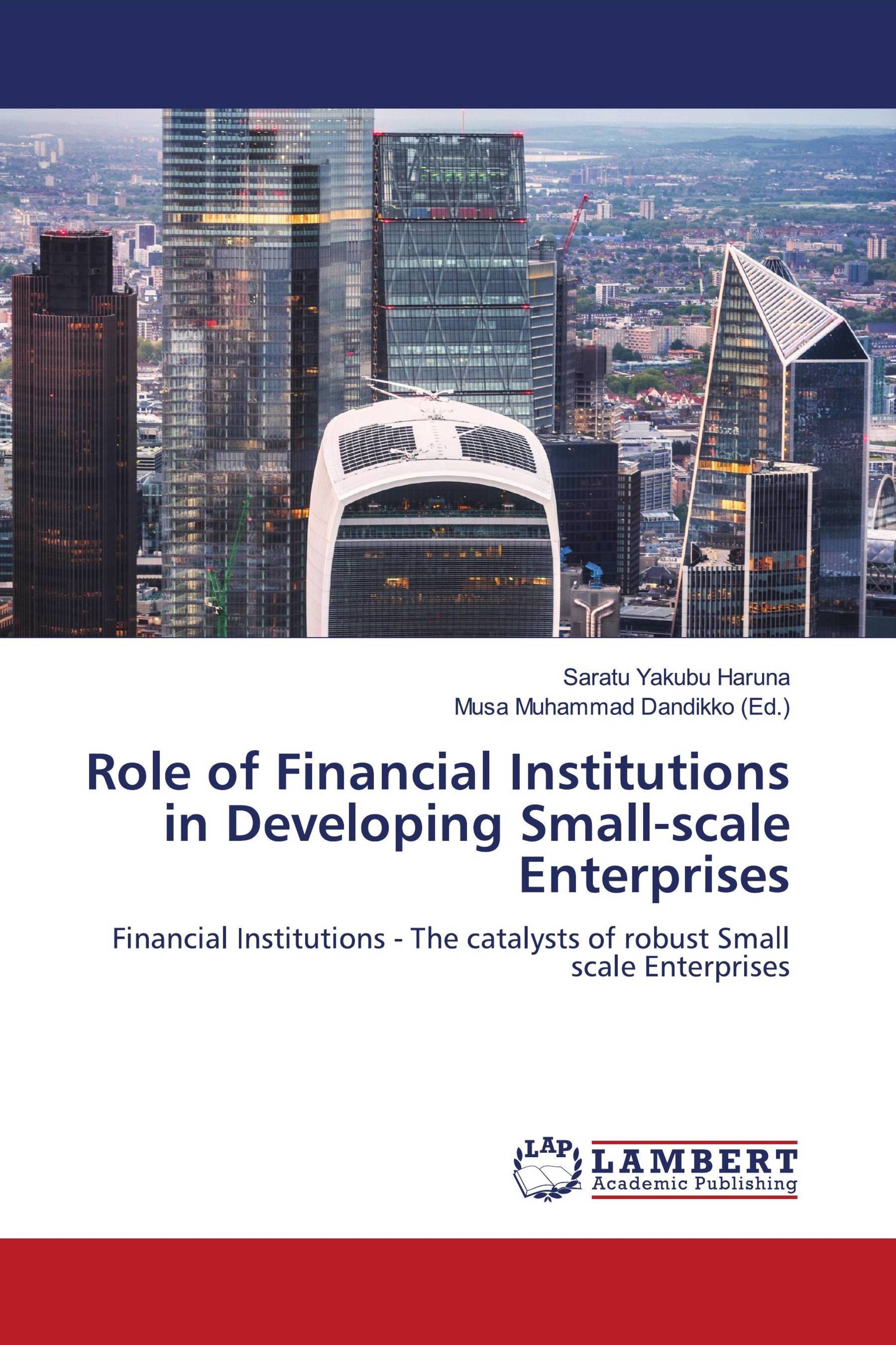 Buy Role of Financial Institutions in Developing Small-scale Enterprises
