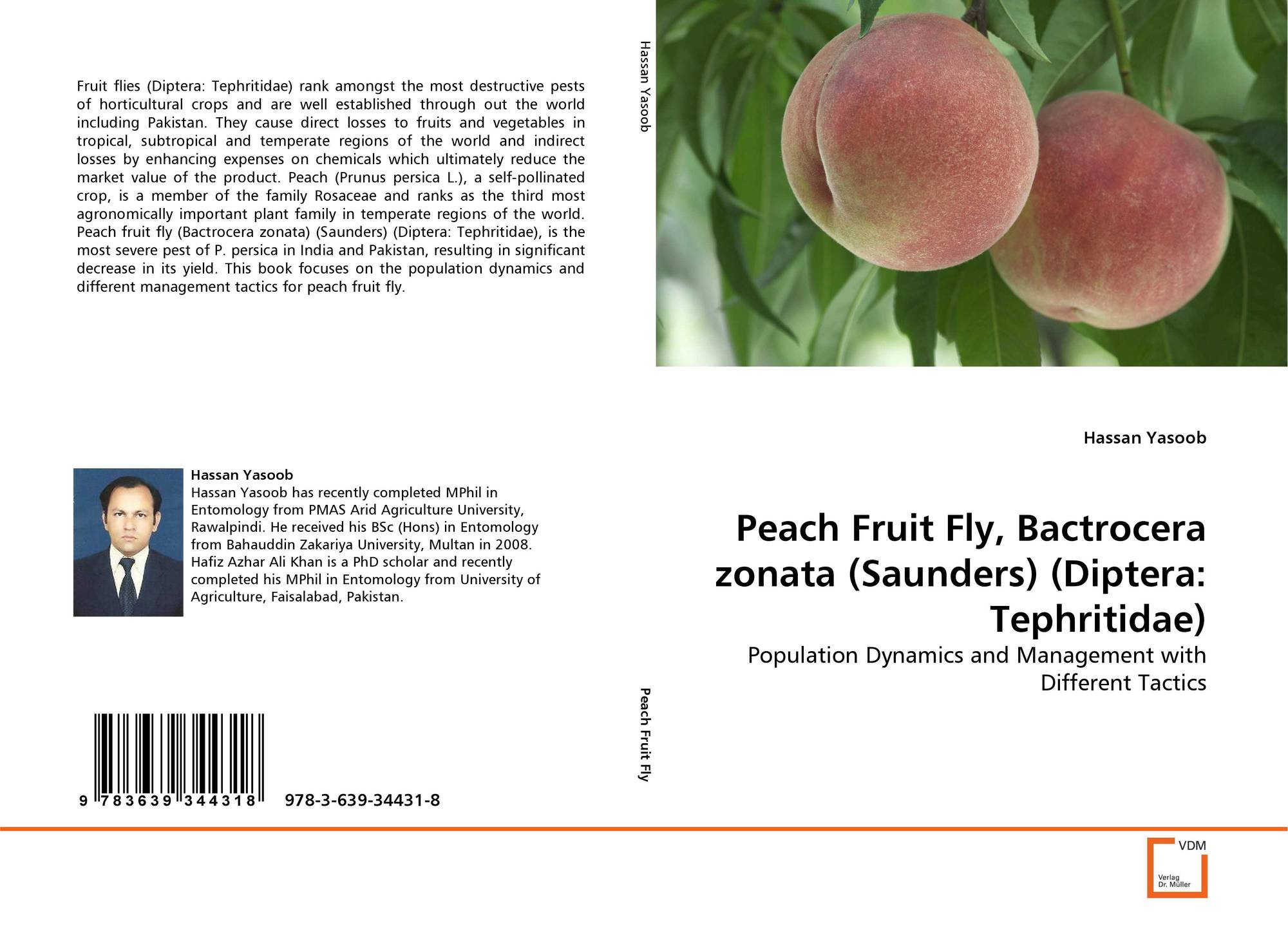 Peach Fruit Fly Bactrocera Zonata Saunders Diptera Tephritidae 978 3 639 34431 8