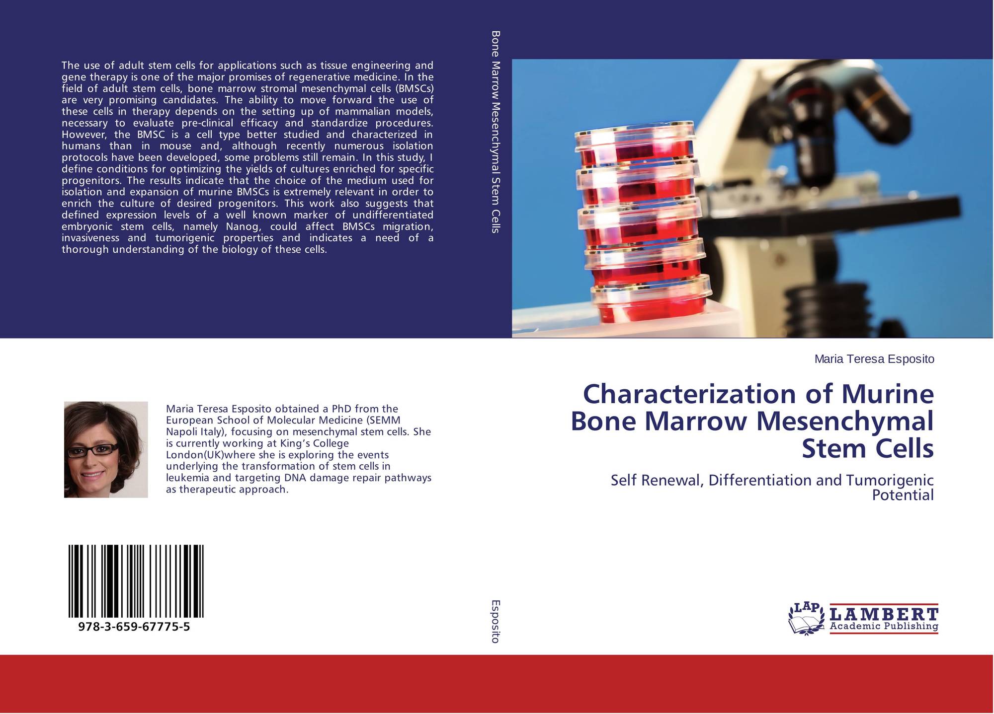 Characterization of Murine Bone Marrow Mesenchymal Stem Cells, 978-3 ...