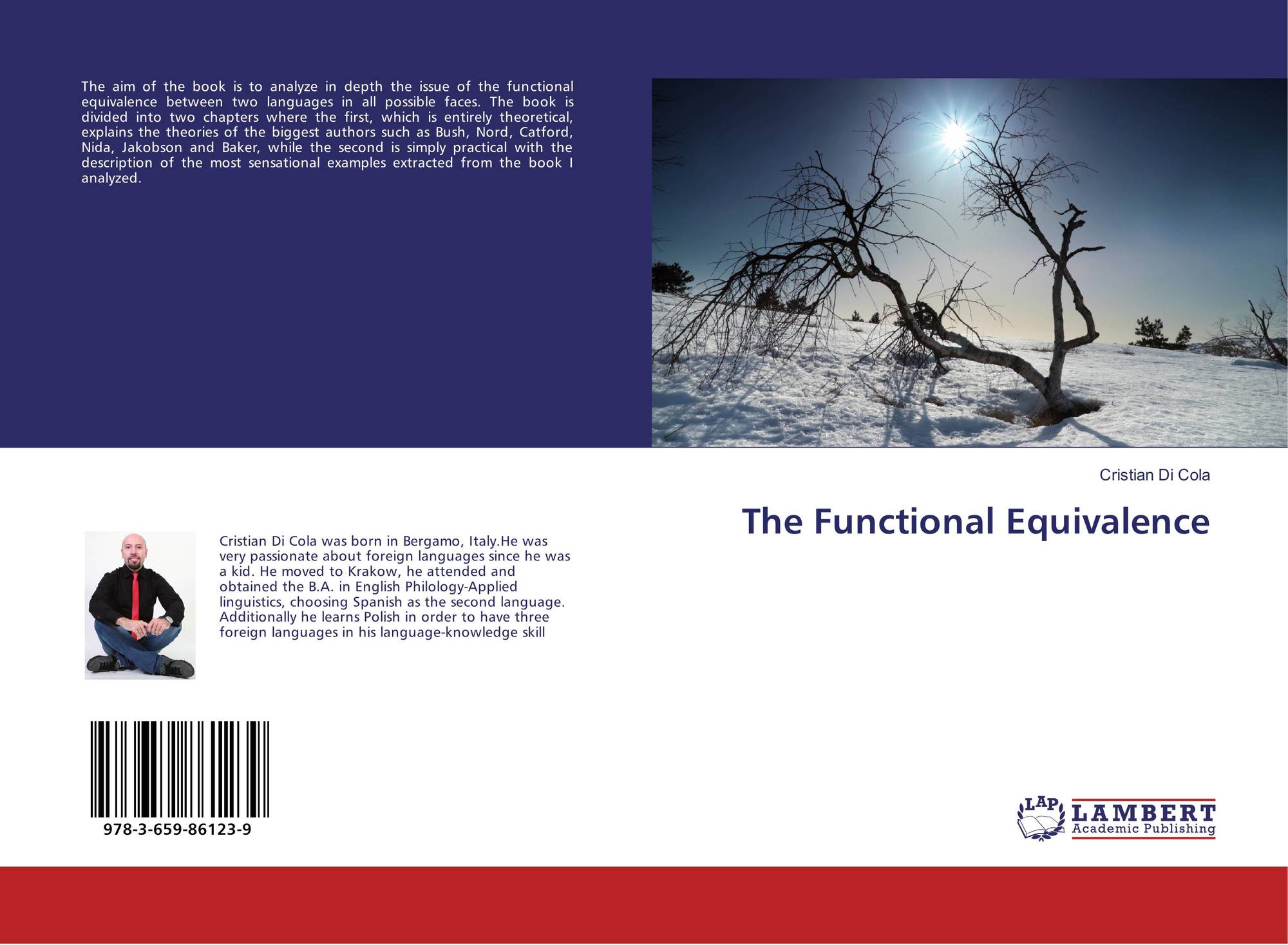 The Functional Equivalence 978 3 659 86123 9 3659861235