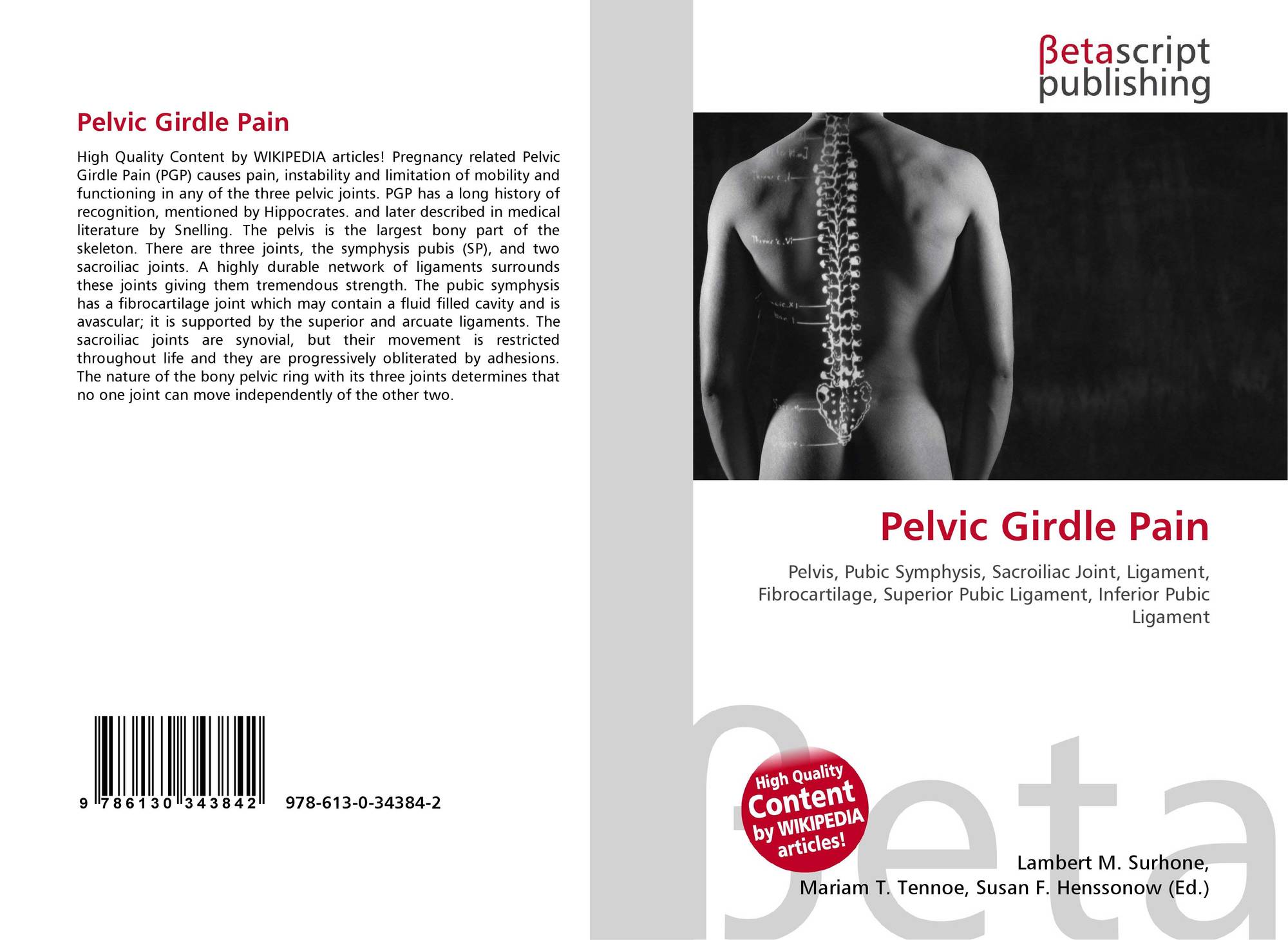 Pelvic Girdle Pain 978 613 0 34384 2 6130343841 9786130343842 Pelvic Girdle Pain 978 613 0 34384 2 6130343841 9786130343842